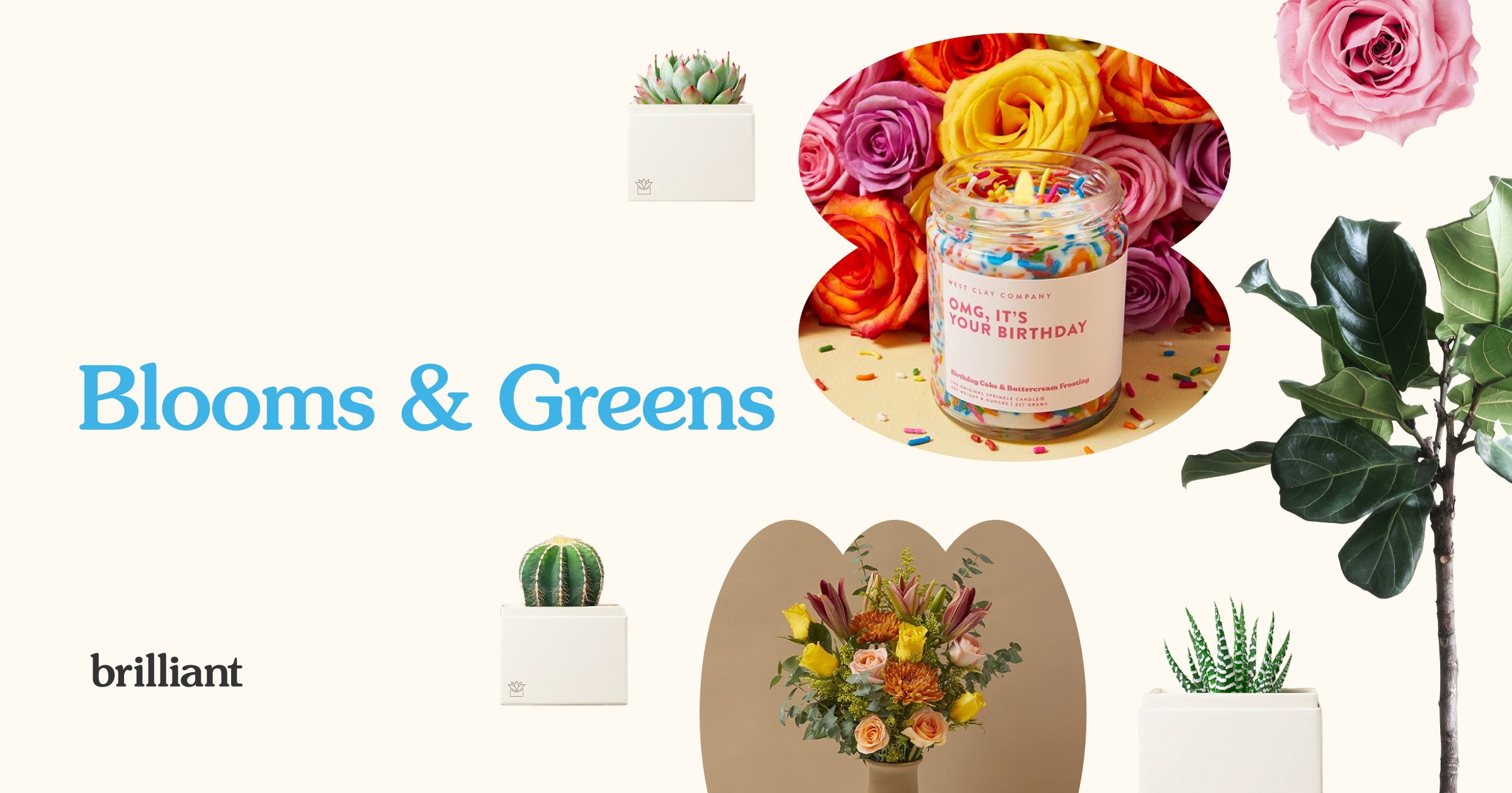 Brilliant: Blooms & Greens - Corporate Gifting for Humans