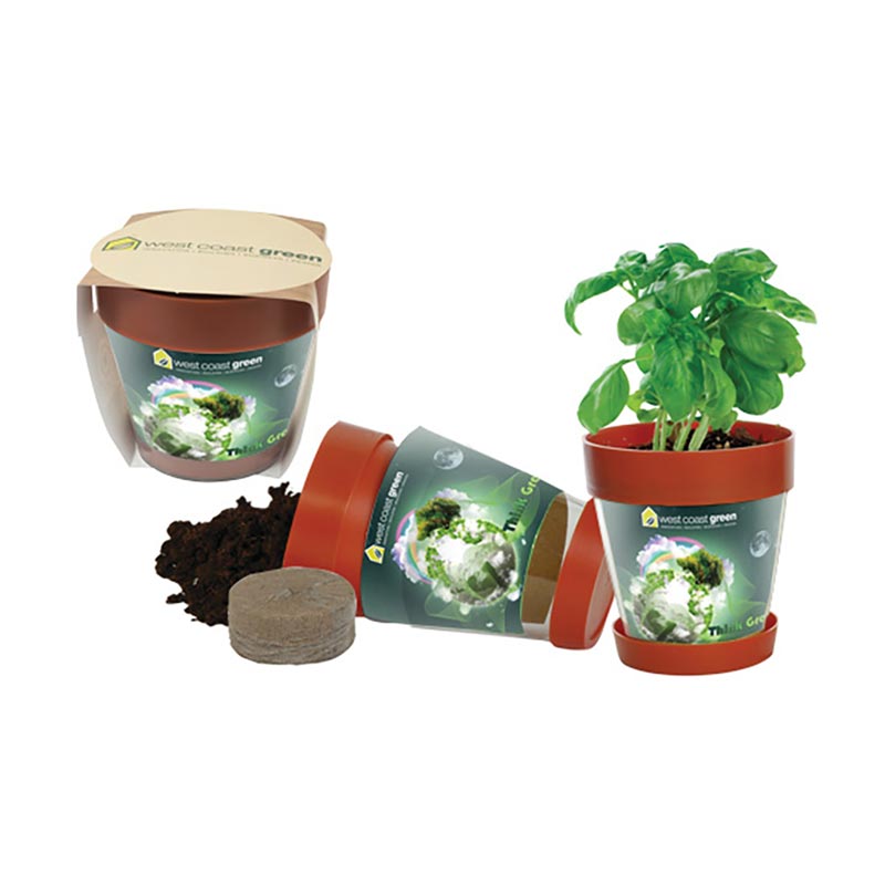 Brilliant: Snap-Together Blossom Kit