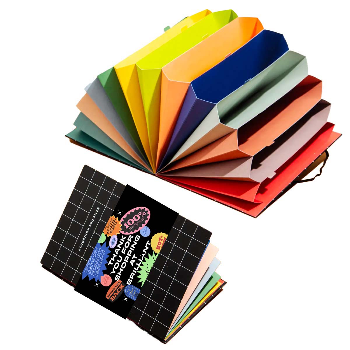 Brilliant: Alexis Accordion File Folder