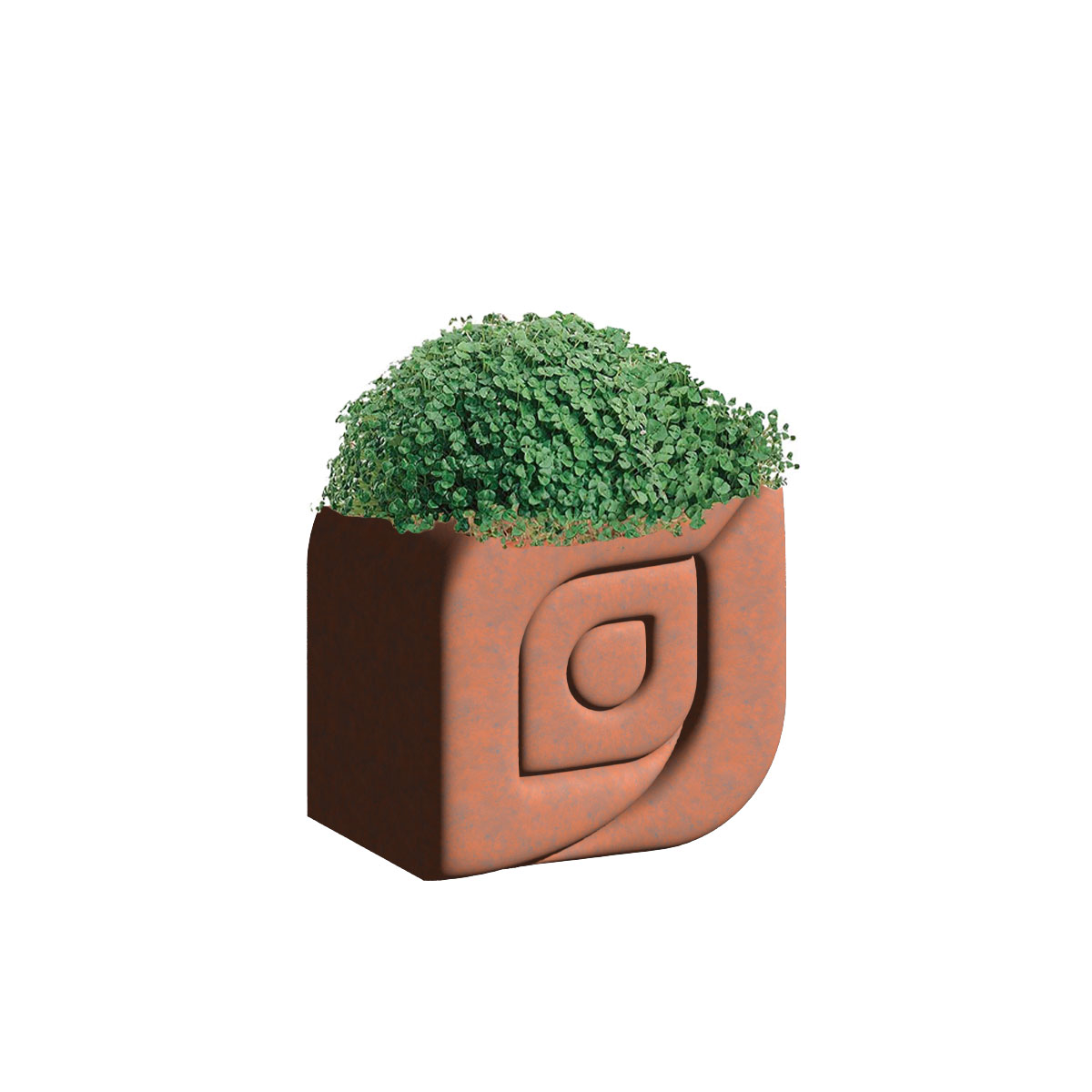 Brilliant: Custom Shaped Chia Pet