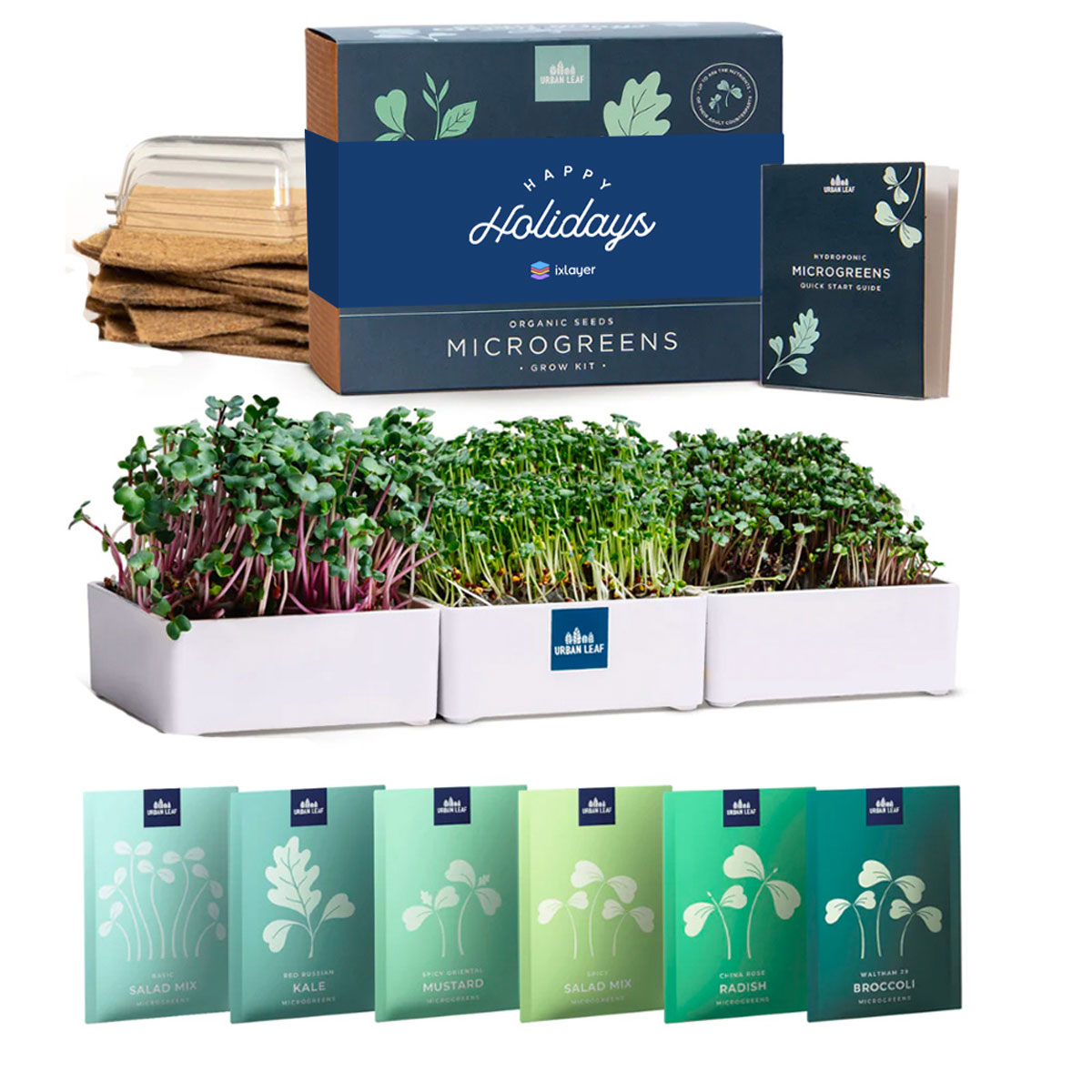 Brilliant: Microgreens Kit