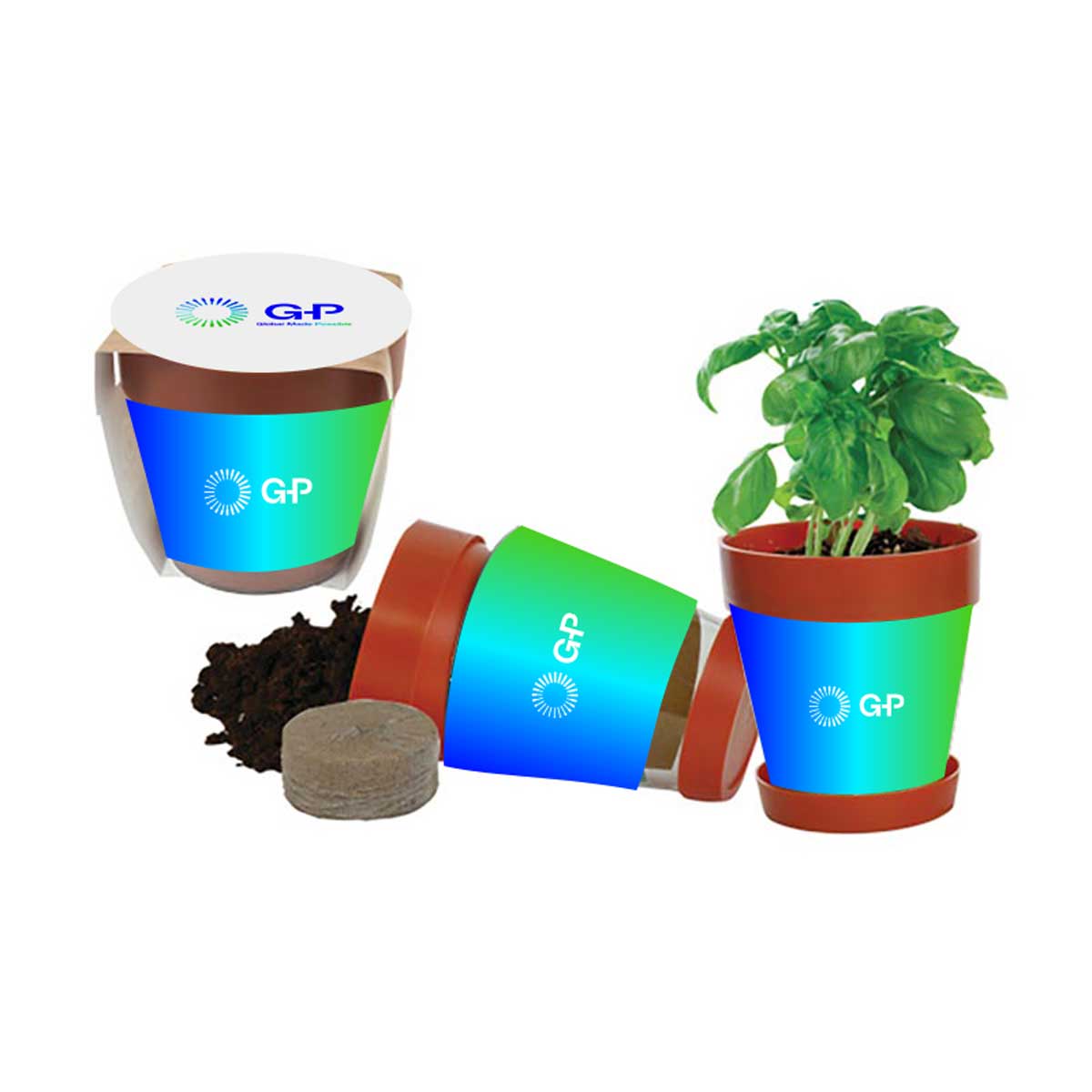 Brilliant: Snap-Together Blossom Kit